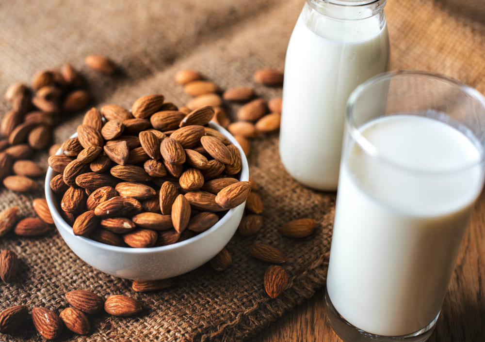 Qu'est-ce qu'un lait végétal