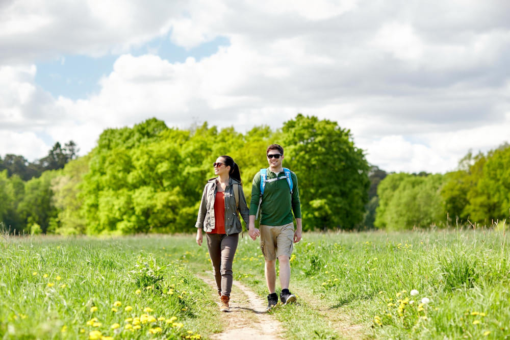 Marche en pleine nature : une cure naturelle
