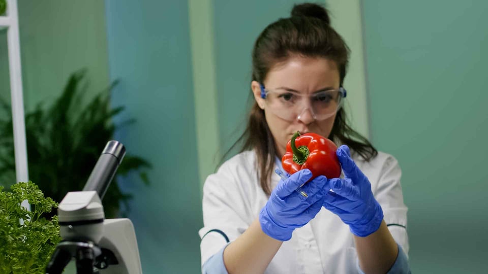 Les OGM sont-ils dangereux pour la santé